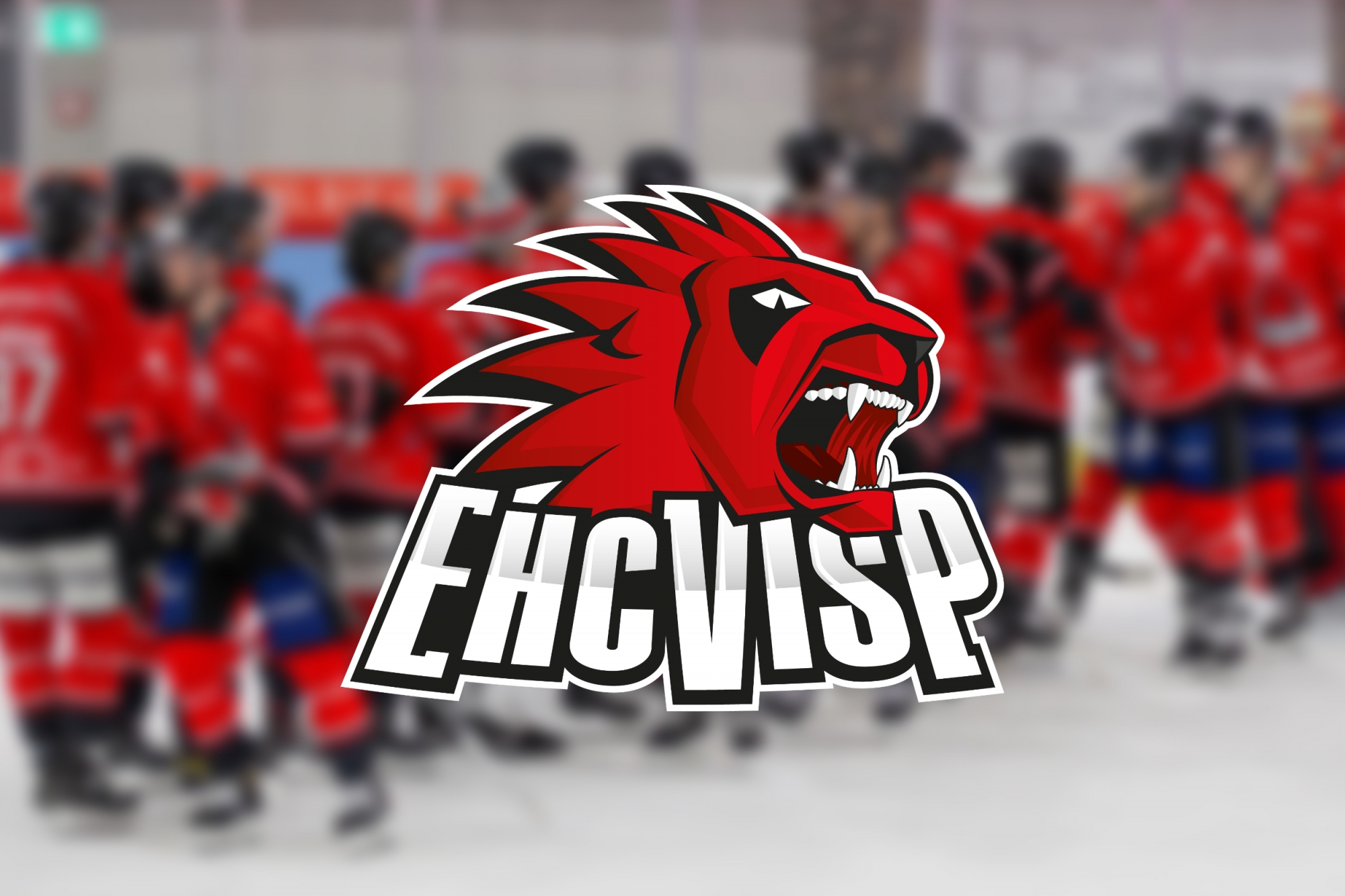 Home | EHC Visp